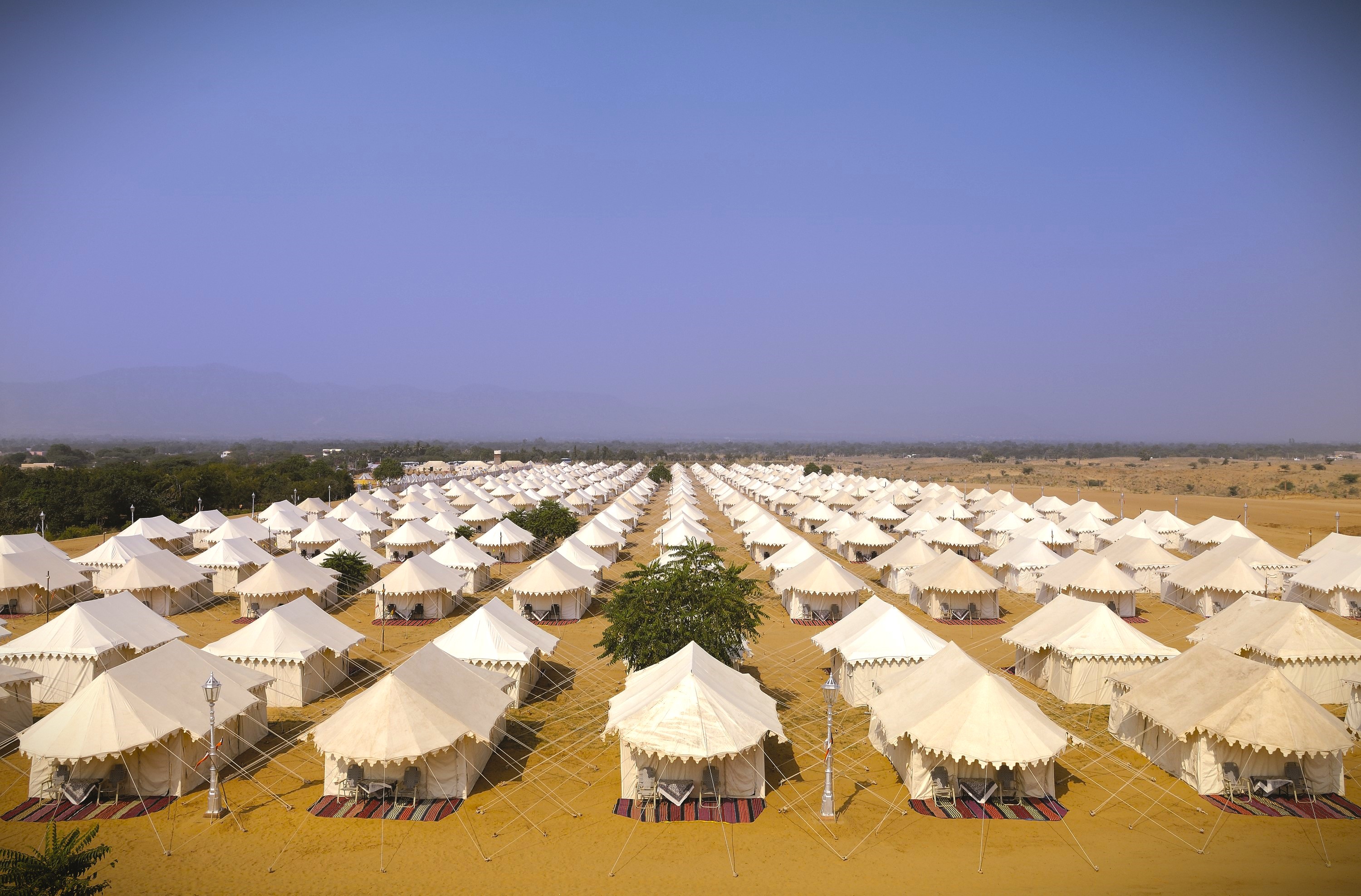 Experience Luxury in the Pushkar's Desert: Best Desert Tents